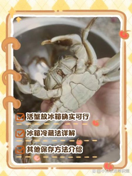 螃蟹怎么保存_活螃蟹能放冰箱吗-第3张图片-山城妙识 螃蟹怎么保存_活螃蟹能放冰箱吗-第3张图片-山城妙识
