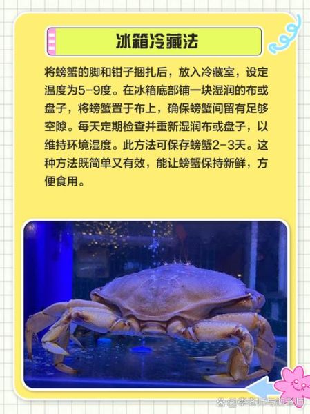 螃蟹怎么保存_活螃蟹能放冰箱吗-第1张图片-山城妙识 螃蟹怎么保存_活螃蟹能放冰箱吗-第1张图片-山城妙识