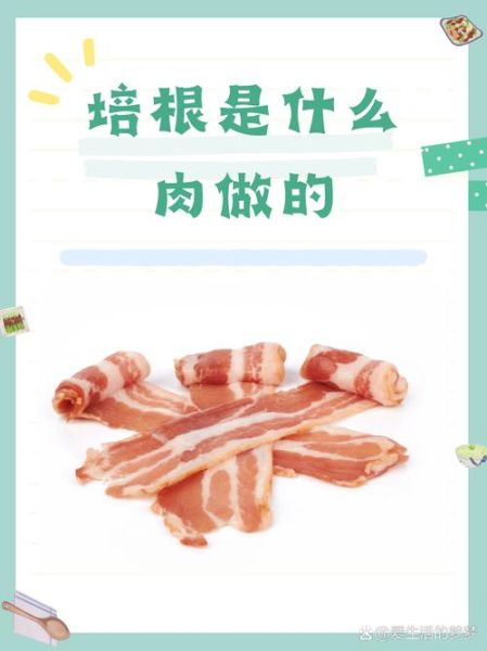 培根肉是猪的哪个部位_培根用猪的哪里肉-第1张图片-山城妙识 培根肉是猪的哪个部位_培根用猪的哪里肉-第1张图片-山城妙识