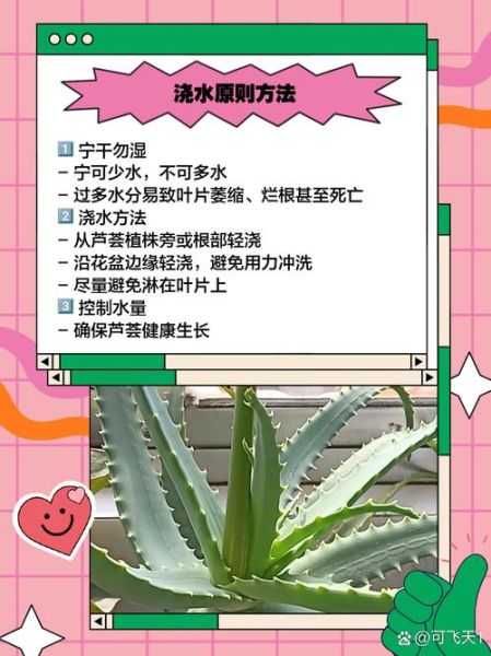 芦荟多久浇一次水_芦荟怎么养才能更旺盛-第2张图片-山城妙识 芦荟多久浇一次水_芦荟怎么养才能更旺盛-第2张图片-山城妙识
