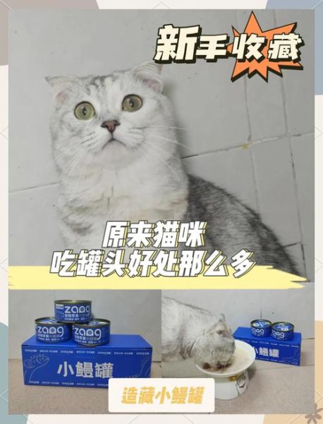 猫罐头人能吃吗_猫罐头对人有害吗-第3张图片-山城妙识 猫罐头人能吃吗_猫罐头对人有害吗-第3张图片-山城妙识