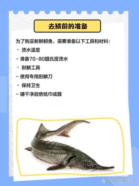 鲟鱼怎么清理_鲟鱼去鳞视频教程-第1张图片-山城妙识 鲟鱼怎么清理_鲟鱼去鳞视频教程-第1张图片-山城妙识