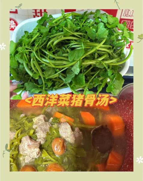 西洋菜煲猪骨怎么做_西洋菜煲猪骨的功效与禁忌-第2张图片-山城妙识