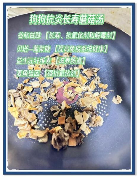 口蘑的营养价值_口蘑的功效与作用-第3张图片-山城妙识 口蘑的营养价值_口蘑的功效与作用-第3张图片-山城妙识