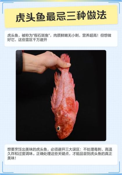 虎头鱼怎么养_虎头鱼吃什么-第2张图片-山城妙识
