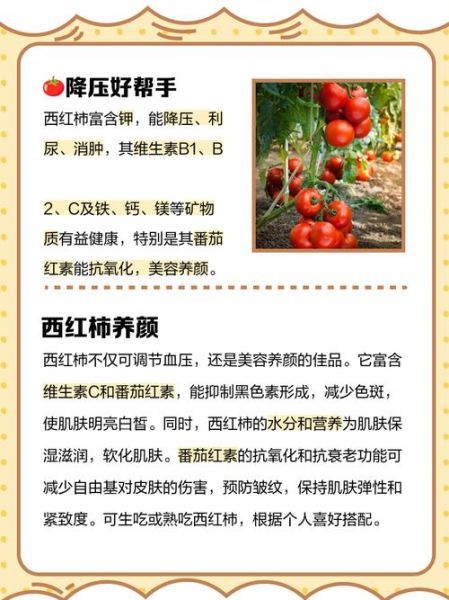 西红柿的营养价值及功效_吃西红柿有什么好处-第3张图片-山城妙识 西红柿的营养价值及功效_吃西红柿有什么好处-第3张图片-山城妙识