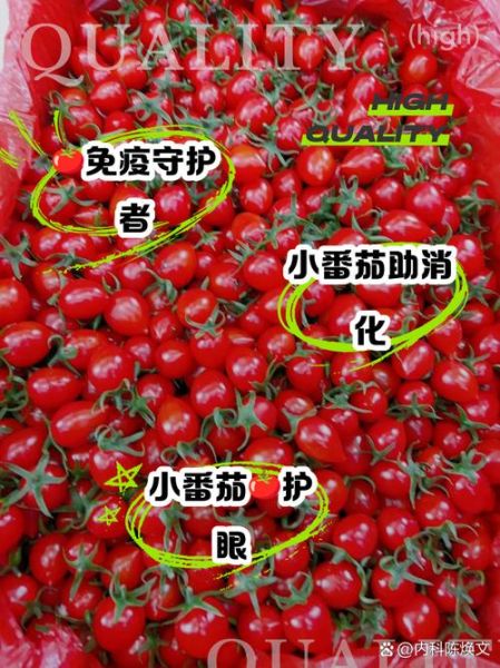西红柿的营养价值及功效_吃西红柿有什么好处-第2张图片-山城妙识 西红柿的营养价值及功效_吃西红柿有什么好处-第2张图片-山城妙识