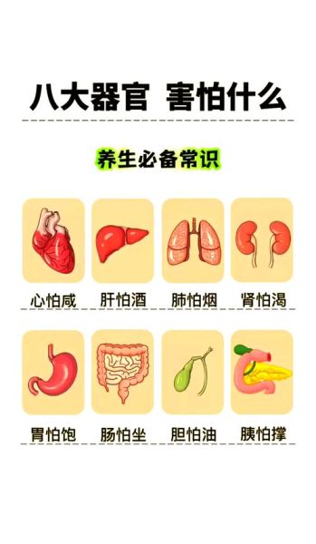 健康营养早餐吃什么_如何搭配-第1张图片-山城妙识