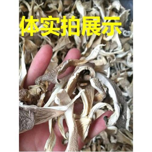 鲍鱼菇的功效与作用_鲍鱼菇怎么吃最好-第2张图片-山城妙识 鲍鱼菇的功效与作用_鲍鱼菇怎么吃最好-第2张图片-山城妙识