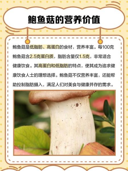 鲍鱼菇的功效与作用_鲍鱼菇怎么吃最好-第1张图片-山城妙识 鲍鱼菇的功效与作用_鲍鱼菇怎么吃最好-第1张图片-山城妙识