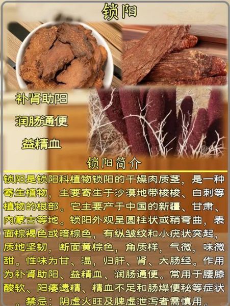 锁阳的危害极大_锁阳副作用有哪些-第1张图片-山城妙识