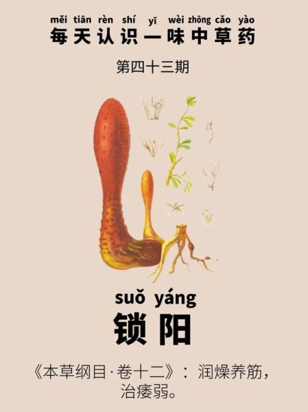 锁阳的危害极大_锁阳副作用有哪些-第2张图片-山城妙识