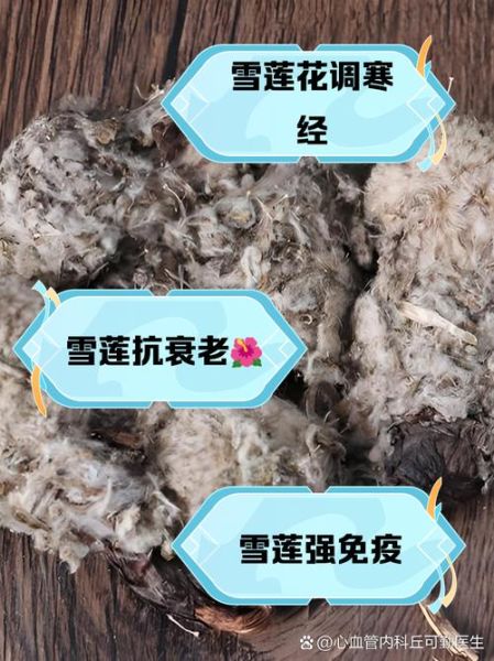 雪莲花有什么功效与作用_雪莲花怎么吃效果最好-第1张图片-山城妙识 雪莲花有什么功效与作用_雪莲花怎么吃效果最好-第1张图片-山城妙识