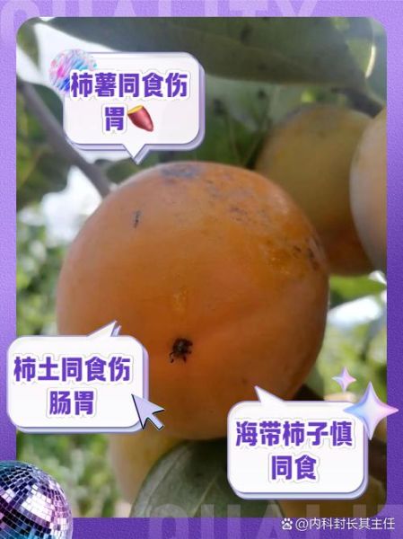 甜柿子的功效与作用禁忌_哪些人不能吃-第1张图片-山城妙识 甜柿子的功效与作用禁忌_哪些人不能吃-第1张图片-山城妙识
