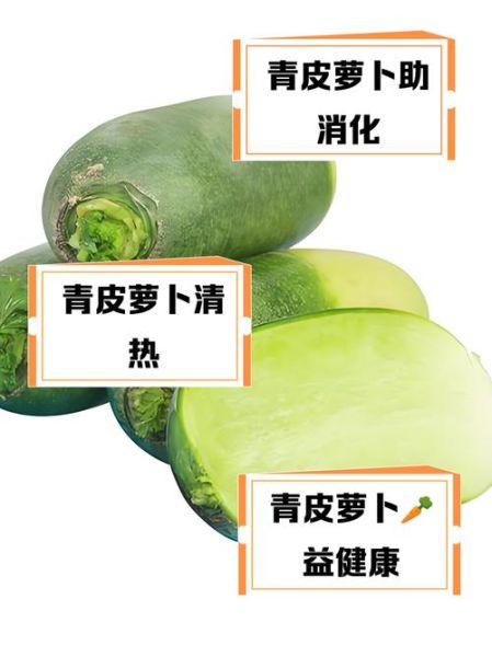 青萝卜的营养价值_青萝卜的功效与作用-第3张图片-山城妙识 青萝卜的营养价值_青萝卜的功效与作用-第3张图片-山城妙识