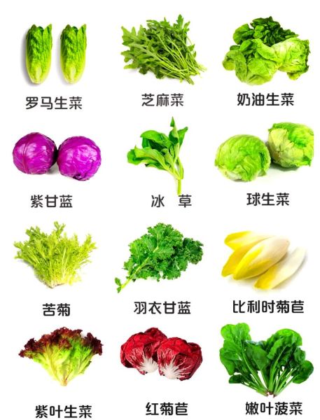 青菜种类有哪些_常见青菜怎么区分-第3张图片-山城妙识 青菜种类有哪些_常见青菜怎么区分-第3张图片-山城妙识