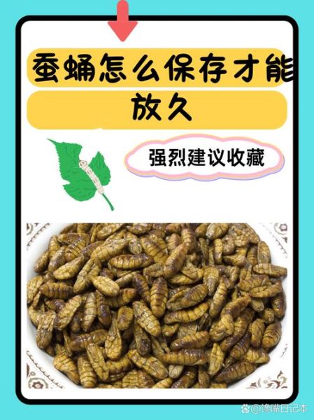 蚕蛹怎么吃最安全_蚕蛹的禁忌有哪些-第1张图片-山城妙识 蚕蛹怎么吃最安全_蚕蛹的禁忌有哪些-第1张图片-山城妙识