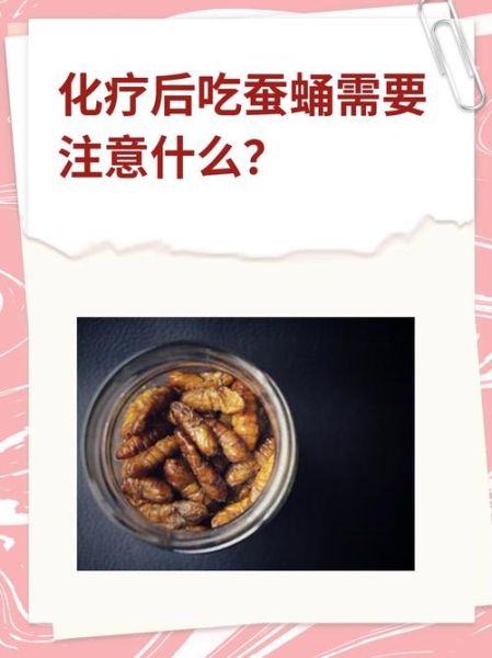 蚕蛹怎么吃最安全_蚕蛹的禁忌有哪些-第3张图片-山城妙识 蚕蛹怎么吃最安全_蚕蛹的禁忌有哪些-第3张图片-山城妙识