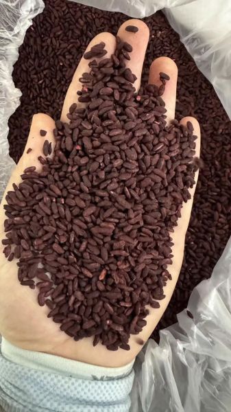 红曲米多少钱一斤_红曲米价格为什么差距大-第1张图片-山城妙识