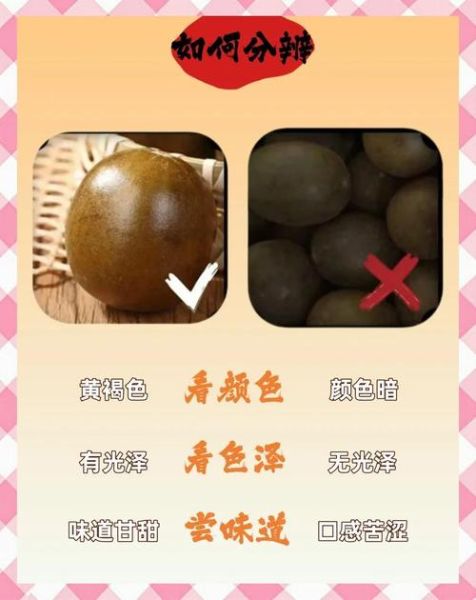 罗汉果图片怎么辨别真假_罗汉果图片功效与作用-第3张图片-山城妙识