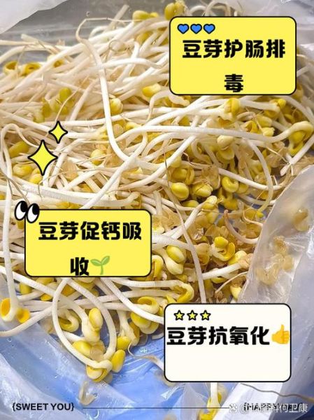 豆芽的功效与作用_吃豆芽能减肥吗-第1张图片-山城妙识 豆芽的功效与作用_吃豆芽能减肥吗-第1张图片-山城妙识