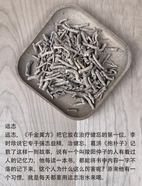 远志的功效与作用_远志的禁忌与用量是多少-第3张图片-山城妙识 远志的功效与作用_远志的禁忌与用量是多少-第3张图片-山城妙识
