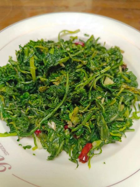 鲜蒲公英怎么吃最好_鲜蒲公英的吃法大全-第1张图片-山城妙识