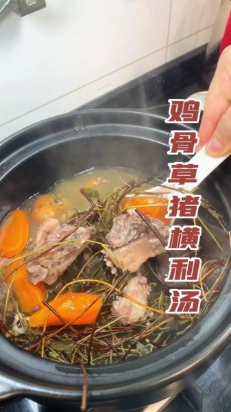 鸡骨草煲猪骨有什么功效_适合哪些人喝-第3张图片-山城妙识