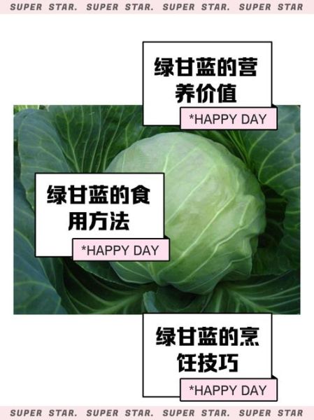 绿甘蓝的营养价值_绿甘蓝的功效与作用-第1张图片-山城妙识 绿甘蓝的营养价值_绿甘蓝的功效与作用-第1张图片-山城妙识