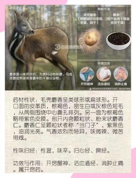 麝香副作用有哪些_麝香禁忌人群-第2张图片-山城妙识