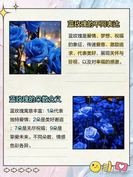 蓝玫瑰代表什么意思_蓝玫瑰的花语与寓意-第1张图片-山城妙识