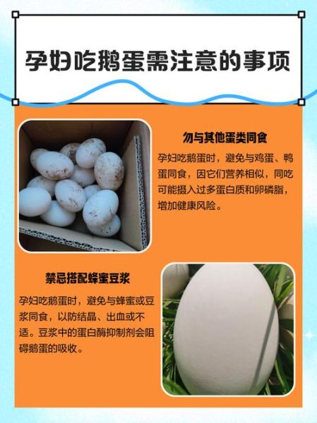 孕妇能吃鹅蛋吗_孕妇吃鹅蛋的禁忌-第3张图片-山城妙识