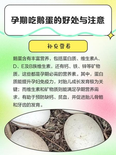 孕妇能吃鹅蛋吗_孕妇吃鹅蛋的禁忌-第2张图片-山城妙识