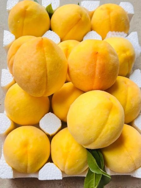 黄桃和桃子有什么区别_黄桃是桃子吗-第3张图片-山城妙识