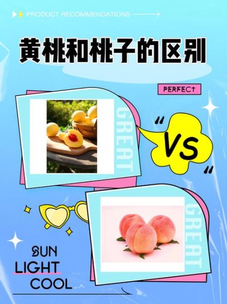 黄桃和桃子有什么区别_黄桃是桃子吗-第1张图片-山城妙识