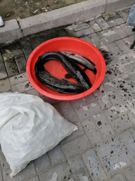 乌鱼影视免费追剧大全在线观看_乌鱼影视安全吗-第3张图片-山城妙识