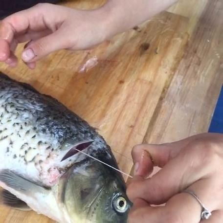 鲤鱼怎么去腥线_鲤鱼腥味重怎么办-第3张图片-山城妙识