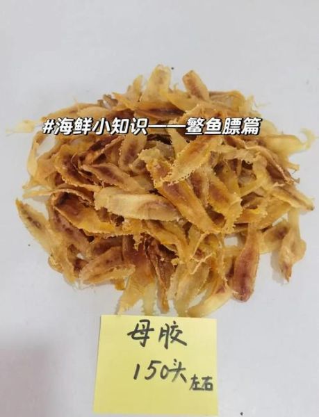 鱼鳔的作用和功能_鱼鳔对人体有什么好处-第2张图片-山城妙识