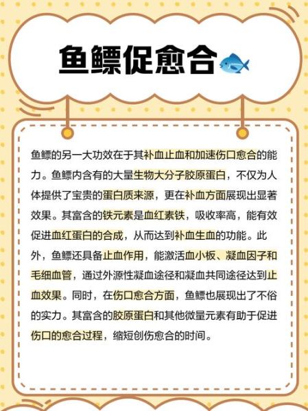鱼鳔的作用和功能_鱼鳔对人体有什么好处-第1张图片-山城妙识