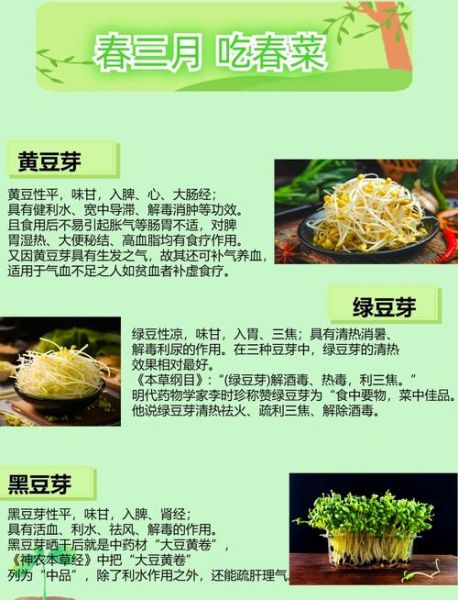 豆芽为什么不能经常吃_过量危害有哪些-第1张图片-山城妙识