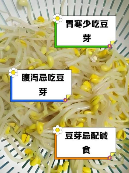 豆芽为什么不能经常吃_过量危害有哪些-第2张图片-山城妙识