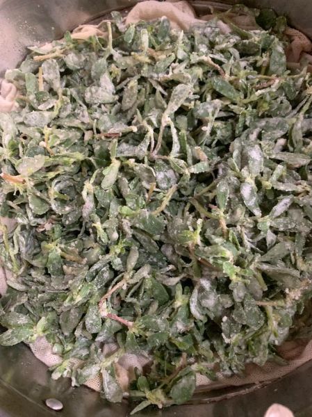 马扎菜的功效与作用_马扎菜怎么吃效果最好-第1张图片-山城妙识