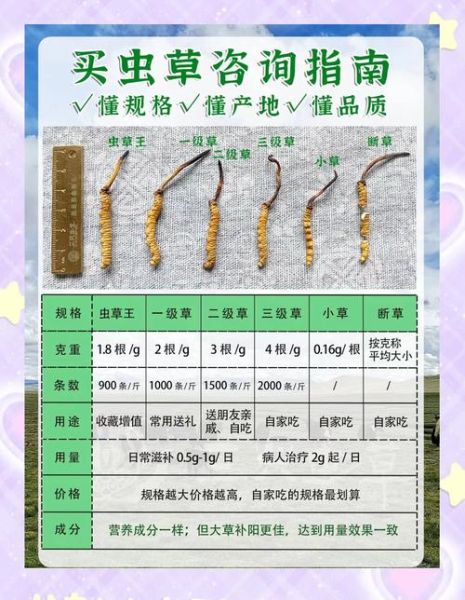 虫草多少钱一根_虫草价格影响因素-第1张图片-山城妙识