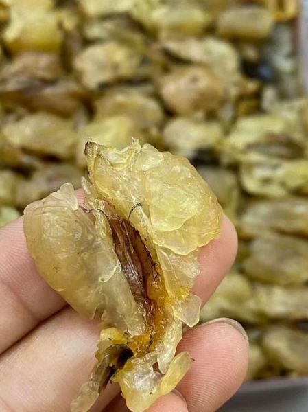 雪蛤油价格多少一克_雪蛤油多少钱一克靠谱-第3张图片-山城妙识