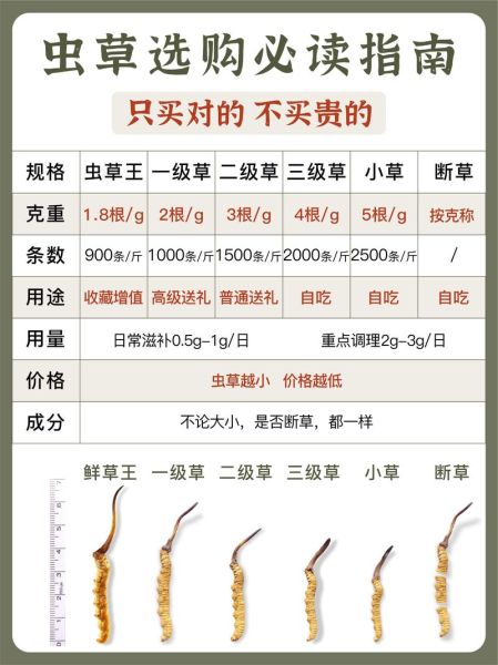 虫草多少钱一根_虫草价格影响因素-第2张图片-山城妙识
