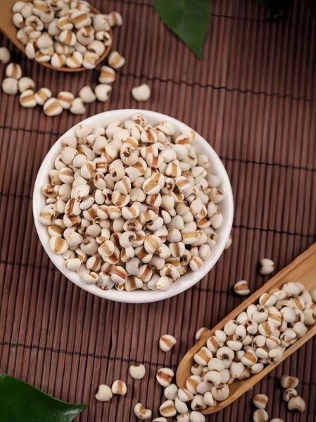 薏米在农村叫什么_农村薏米别名叫什么-第1张图片-山城妙识