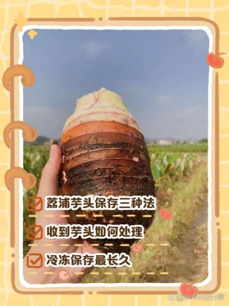 芋头怎么保存不会坏_芋头放冰箱能放多久-第2张图片-山城妙识