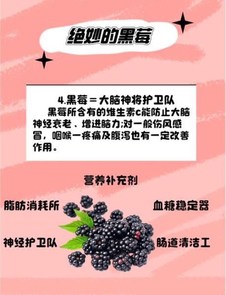 黑莓的功效与作用禁忌_什么人不能吃黑莓-第2张图片-山城妙识