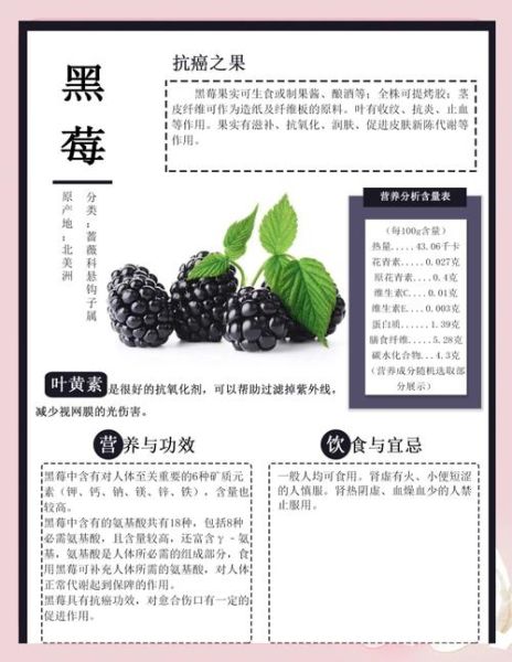 黑莓的功效与作用禁忌_什么人不能吃黑莓-第1张图片-山城妙识