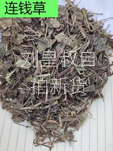 连钱草的功效与作用_连钱草怎么泡水喝-第1张图片-山城妙识 连钱草的功效与作用_连钱草怎么泡水喝-第1张图片-山城妙识